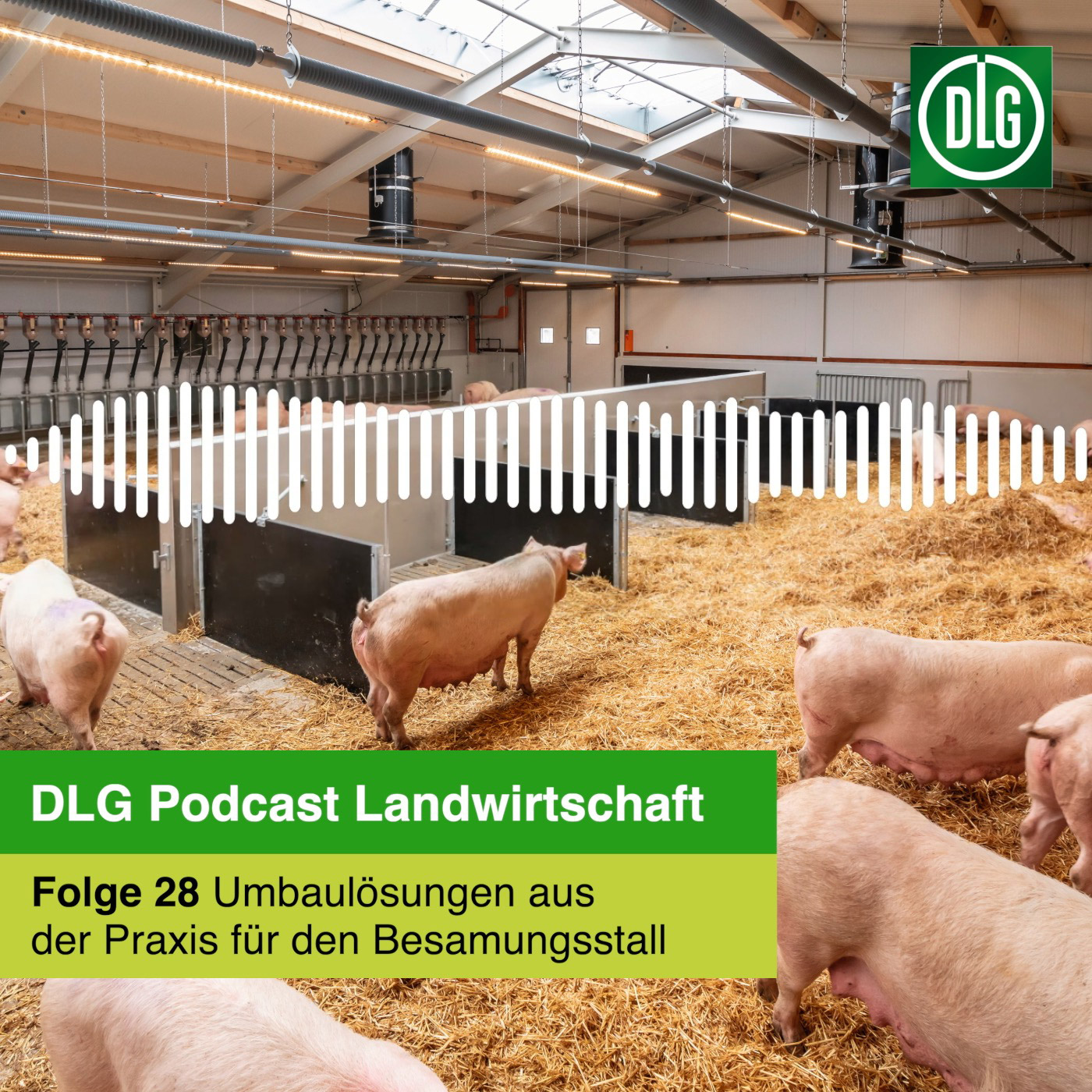 DLG-Podcast Agrar Folge 28: Umbau des Besamungsstalls