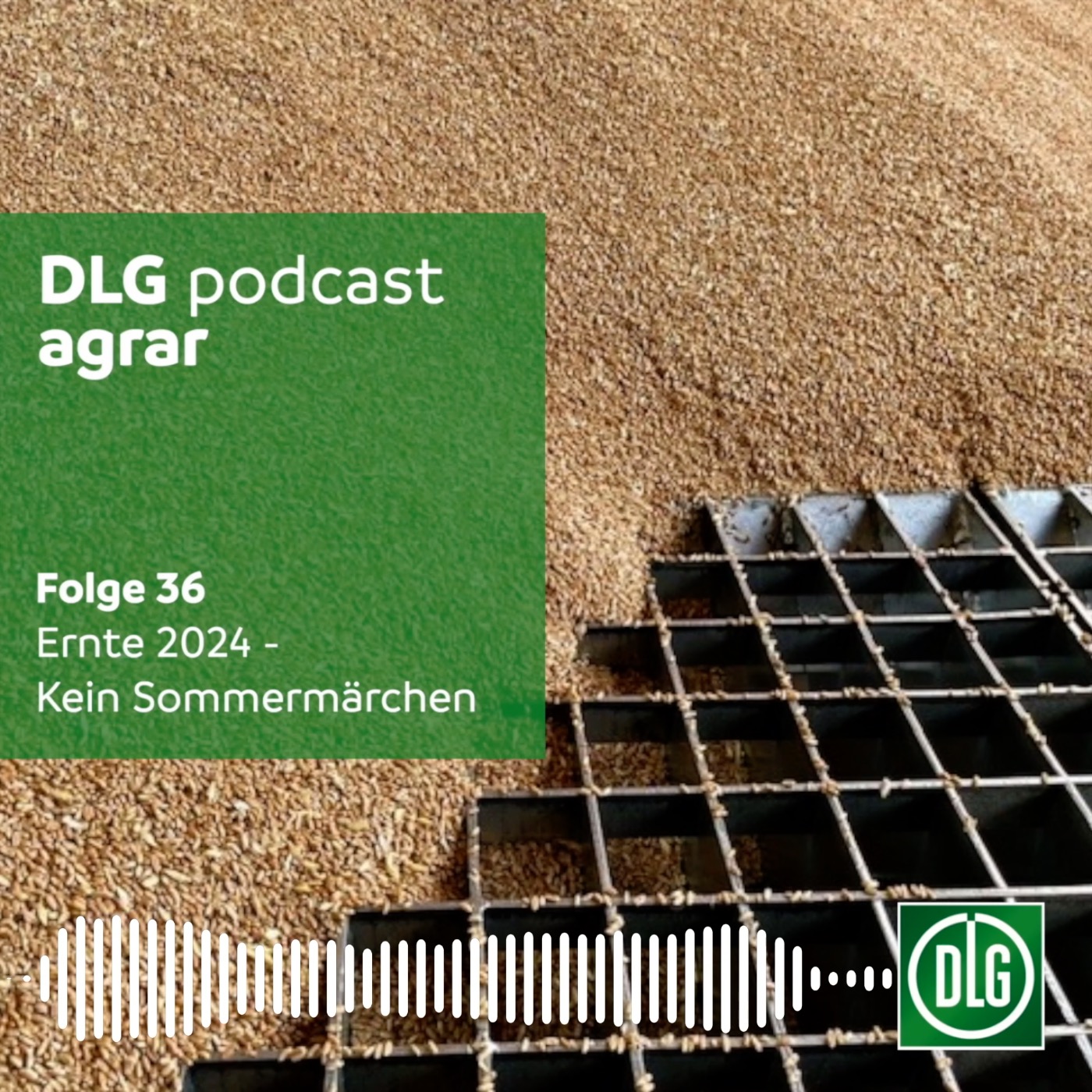 DLG-Podcast Agrar Folge 36: Ernte 2024 - Kein Sommermärchen